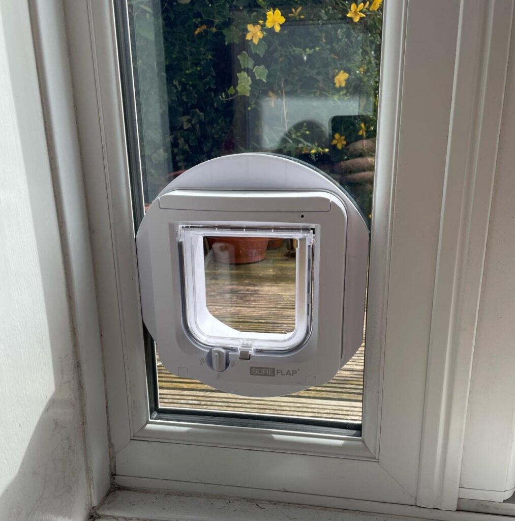Cat Flap Installation Experts | Glass, uPVC & Door Fitting